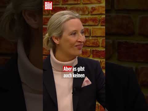Weidel: „Kann mich leider in Deutschland nicht mehr frei bewegen“ | #shorts
