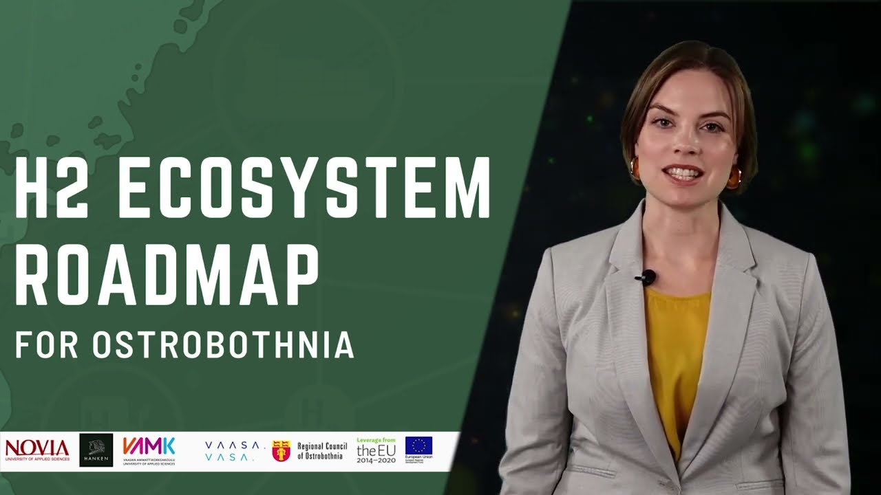A summary of WP 3 in the H2 Ecosystem Roadmap (for Ostrobothnia project)