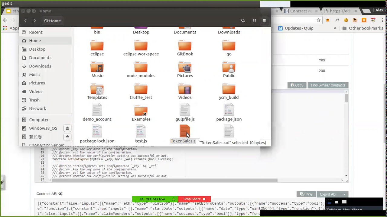 bytecode verifier demo