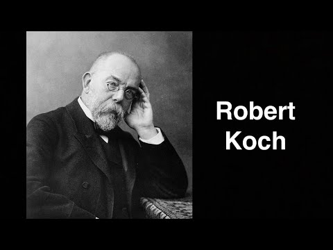 Heinrich Hermann Robert Koch. German physician and microbiologist | English