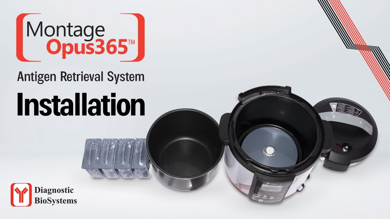 Montage Opus365 Installation