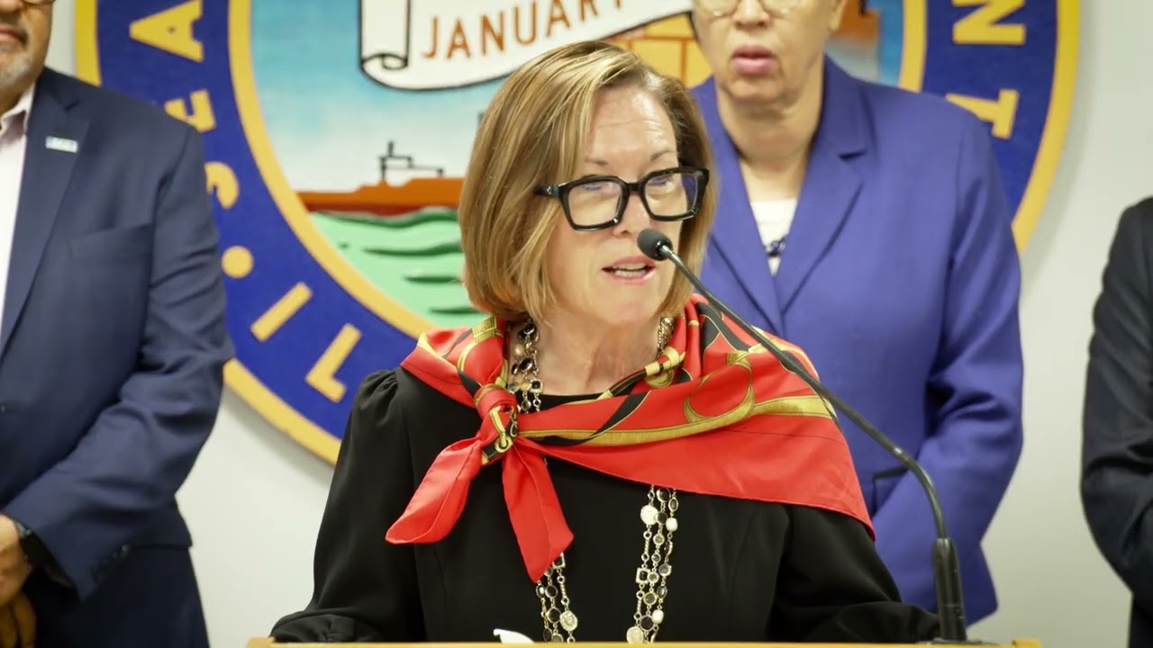 Launching the Cook County Catalyst Grant