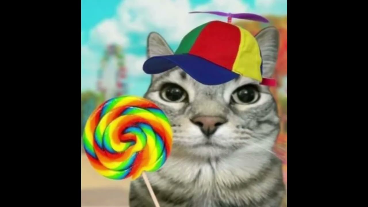Bitter Sweet Symphony Cat Meme (Zazu Cat)