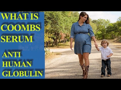 WHAT IS COOMBS SERUM