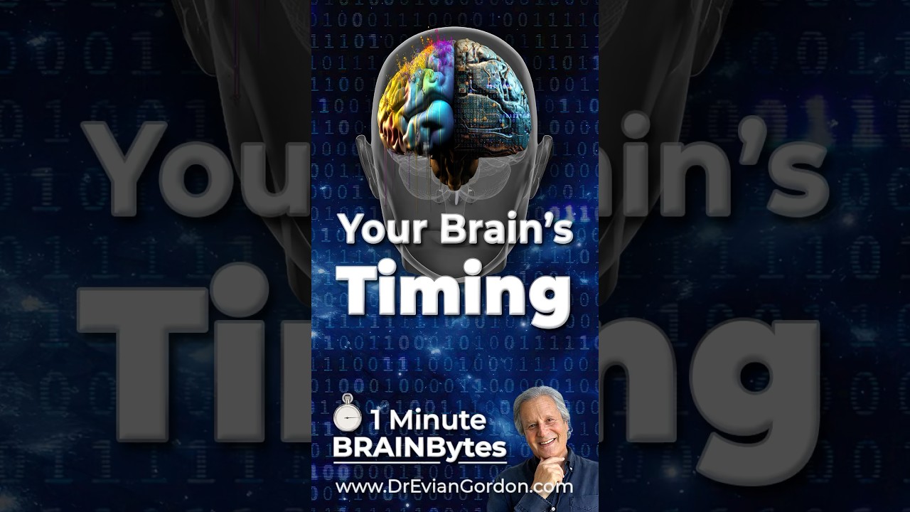 Your Brain’s Timing - 1 Minute Brain Bytes - Dr Evian Gordon