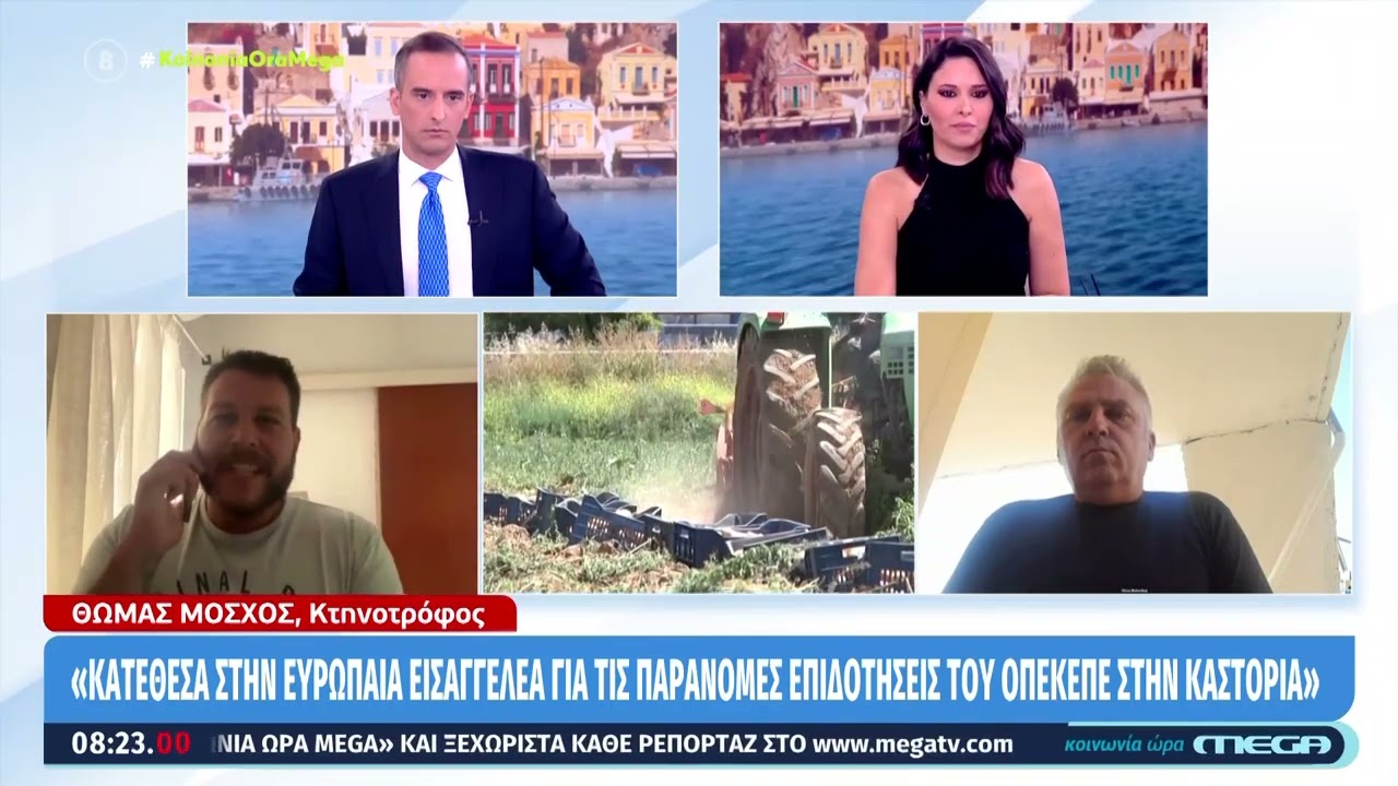 Θ. Μόσχος: «Κατέθεσα στην Ευρωπαία Εισαγγελέα για τις παράνομες ...