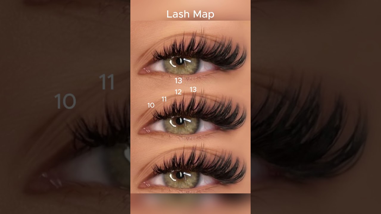 LASH MAP | FADLASH Amazon