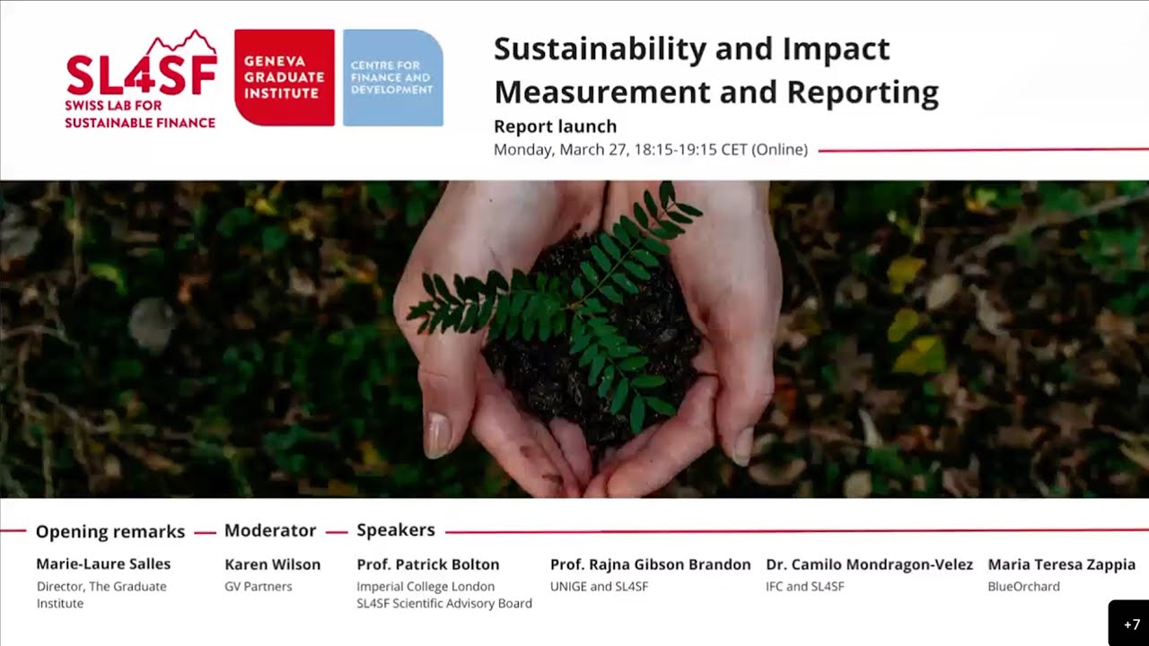 Sustainability and Impact Measurement and Reporting: Evidence from a Benchmarking Study