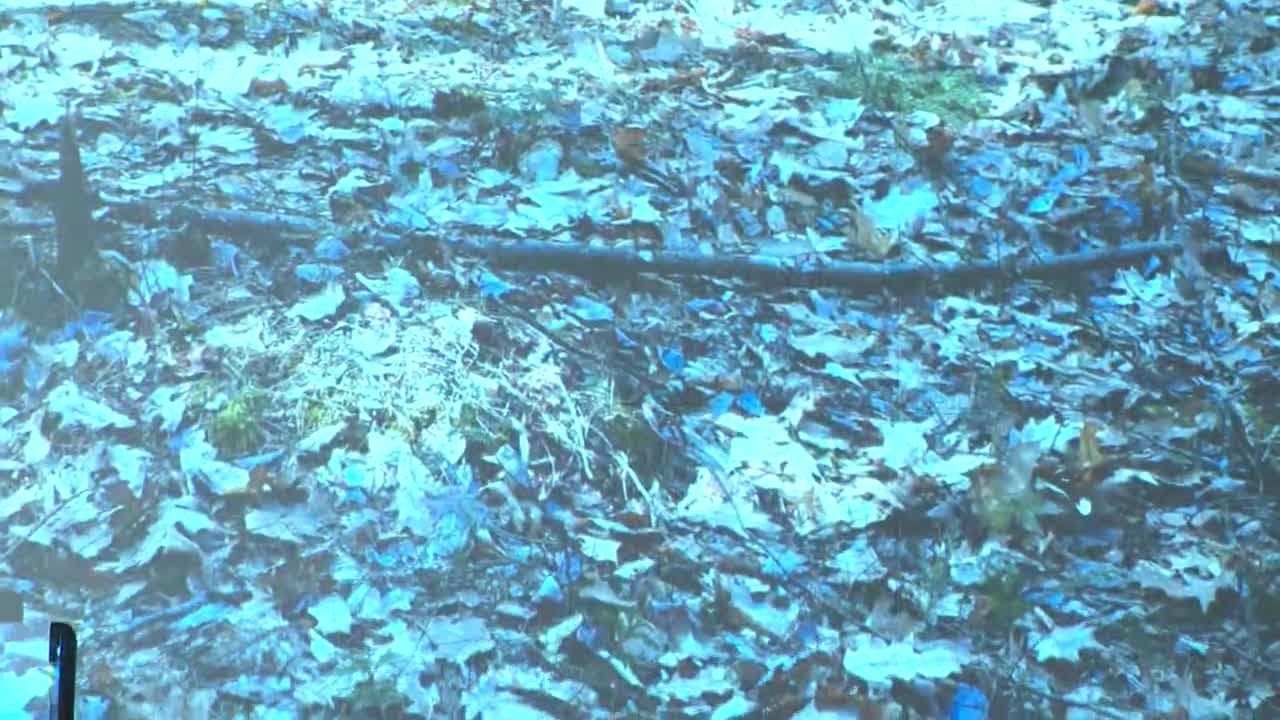 Logan Clegg murder trial video: Testimony from Concord detective (Part 2)