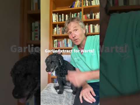 Garlic for warts?