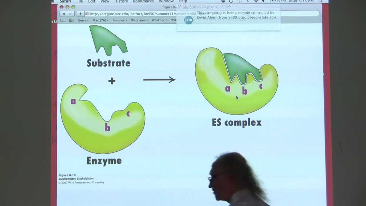 Kevin Ahern's BB 450/550 Classroom Lecture #2 for June 27 - Enzymes II