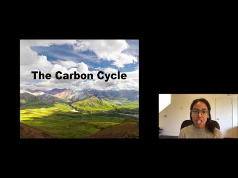 The Carbon Cycle: Introduction and Photosynthesis Lab