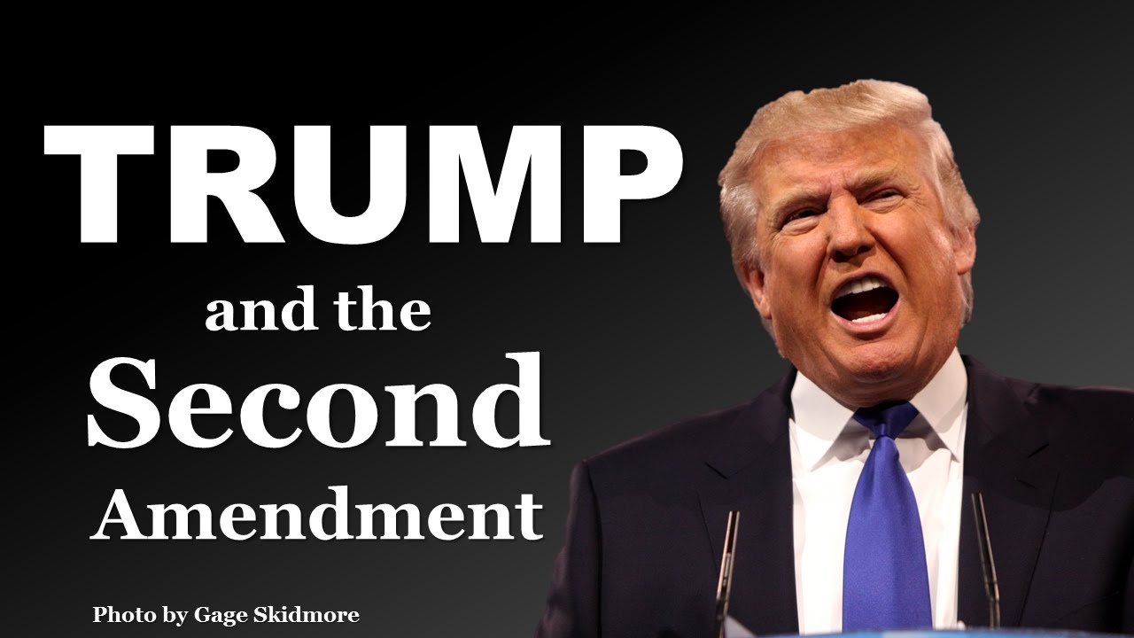 Donald Trump's Second Amendment Comment Explained