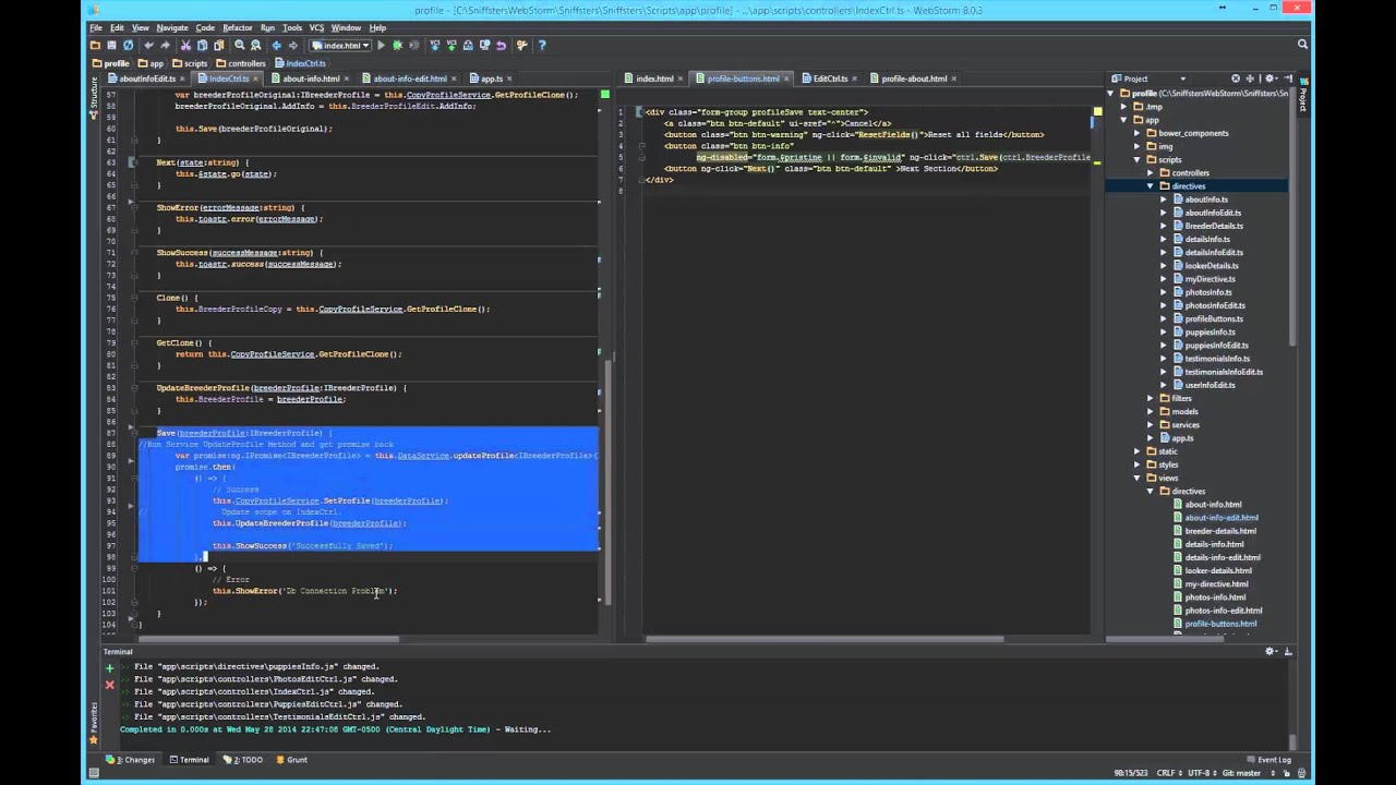 AngularJs Tutorial 101. AngularJs Directives in WebStorm Application