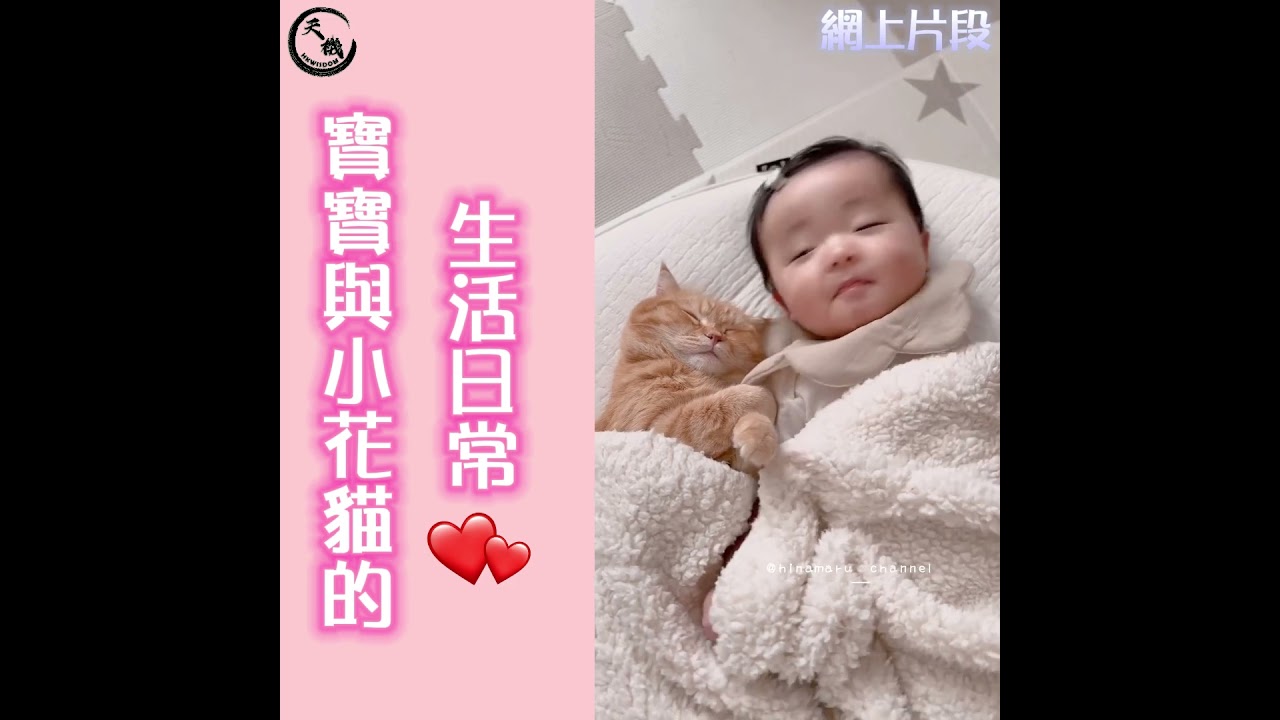 【Wisdom BB 短片】 - 親子