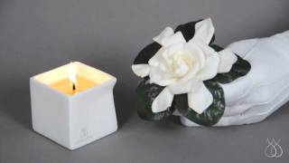 Hello Touch X Vibrator & Massage Candle Pleasure Pack | StackSocial