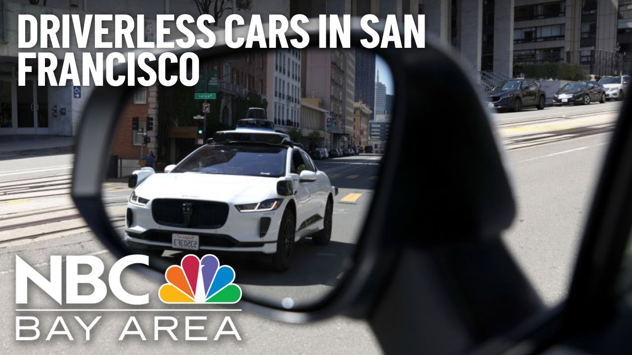 S.F. Driverless Cars Result In Disaster After One Killed A Dog And ...