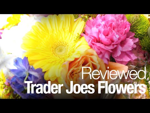 Does Trader Joes sell the best cheap flowers?