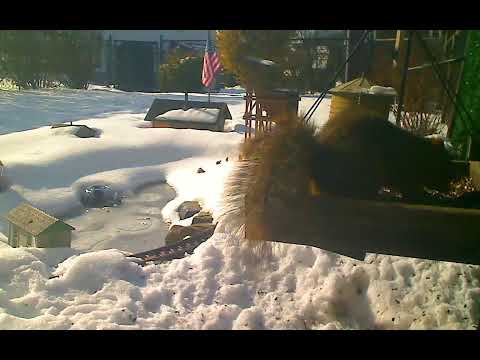 tec pond 01-31-22