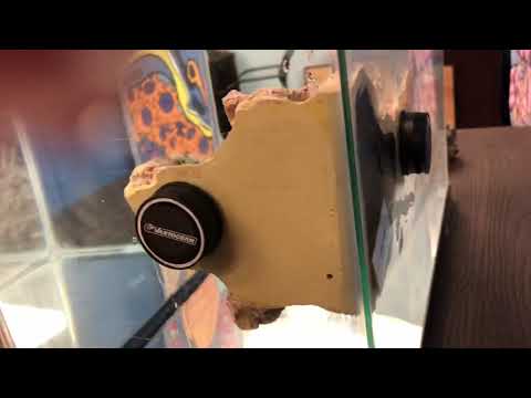 Vastocean Magnetic scape rocks