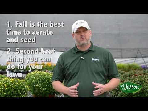 What is Aeration and why do I need it?