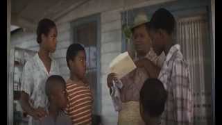 Forrest.Gump and Fruit Co