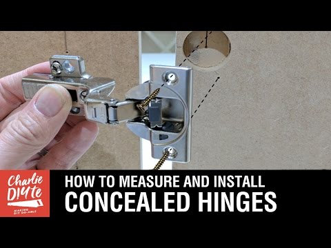 10 Types Of Hinges (Complete UK Guide) - Property Workshop