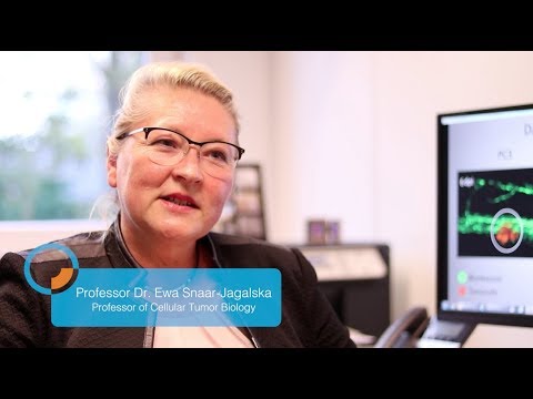 Professor Ewa Snaar-Jagalska (Leiden University)
