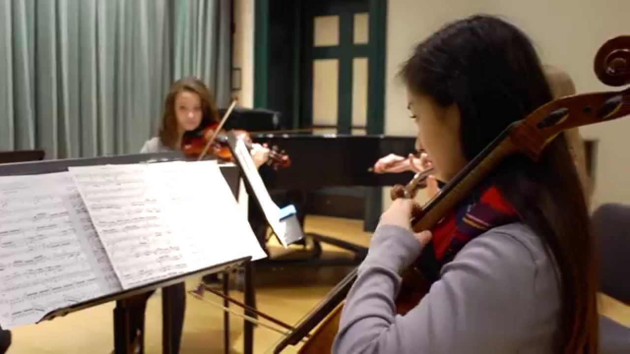 Performance Academy for Strings