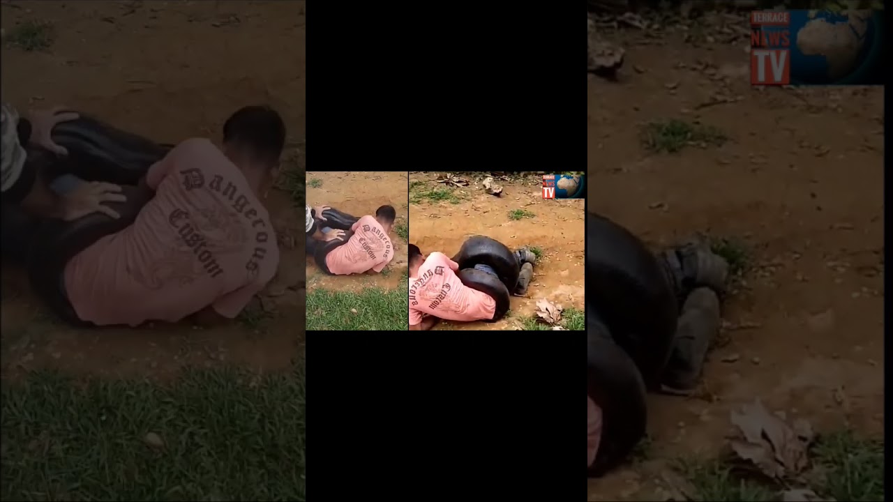 Python Attack human #python #highlights #new #gkinhindi