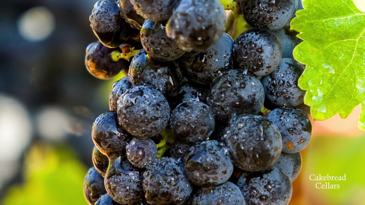 Cakebread Cellars