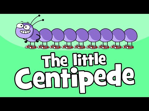 โชโช Centipede Children's Song | Funny Animal Songs | Hooray Kids Songs & Nursery Rhymes | Animals