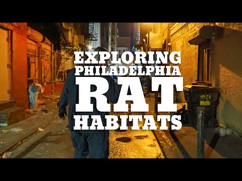 Evans Pest Control Service | Philadelphia | Exterminator In Philadelphia