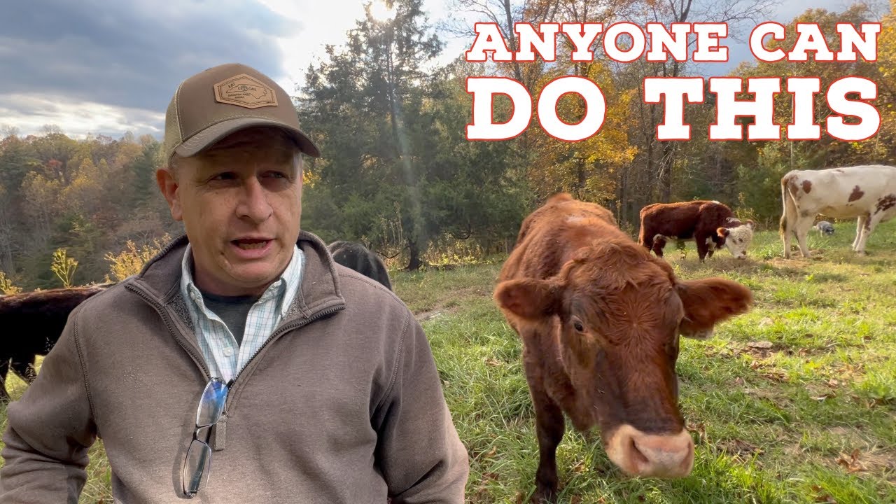 Start Raising Cattle WITHOUT Spending A Fortune