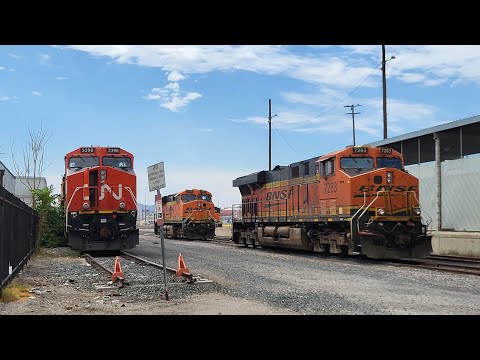 Canadian National #3398 at the BNSF Santa Fe freight house storage track