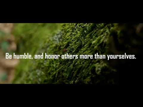 Selfishness or pride  Philippians 2:3-4: Bible Verse, Audio Bible Scripture Real Live Reading