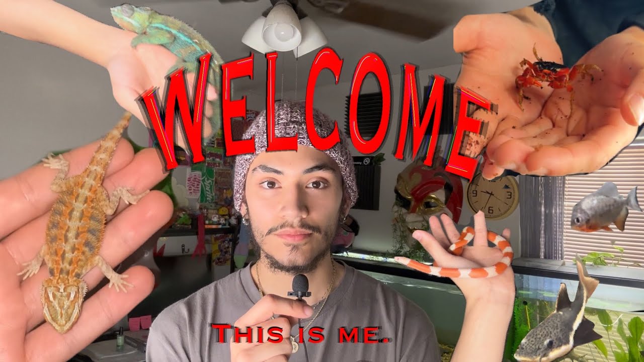 Welcome to the launch