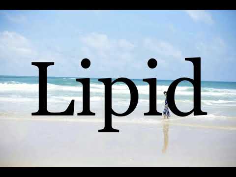 How To Pronounce Lipid🌈🌈🌈🌈🌈🌈Pronunciation Of Lipid