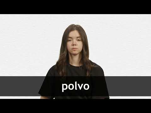 English Translation of “POLVO” | Collins Spanish-English Dictionary