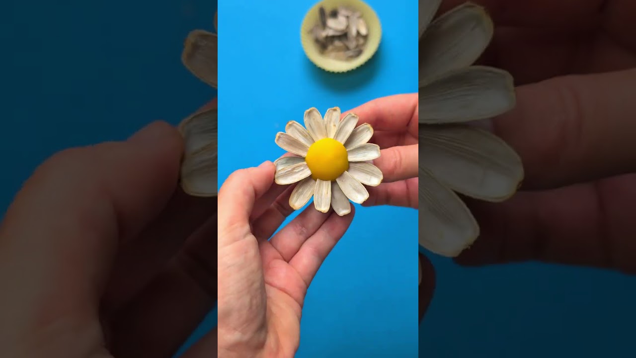 From snack to Piece of Art 🤯🌼 DIY Flowers from Sunflower seeds 🌻