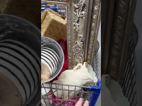 $117 spent at the thrift store! Which one is your favorite?? #thriftstorefinds #homedecor