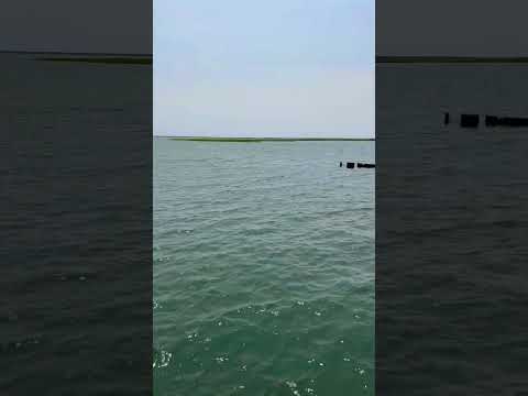 60 seconds of ocean #hiking #nature #statepark #hikingday #hiking #shorts