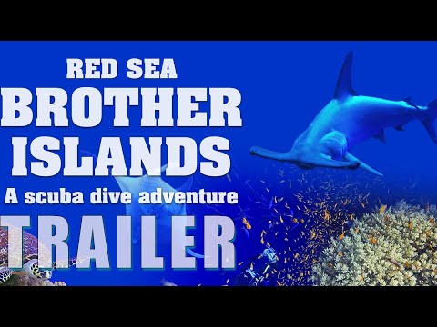RED SEA: BROTHER ISLANDS – A SCUBA DIVE ADVENTURE Official Trailer (2024) Documentary