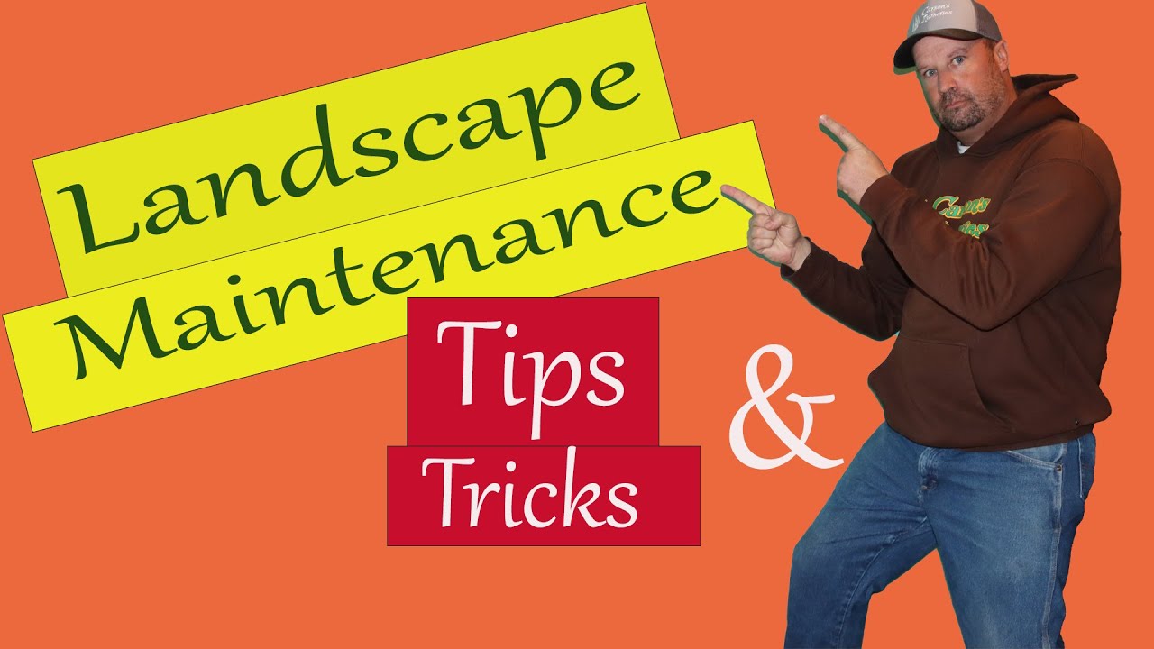 Landscaping For Beginners / Maintenance Tips