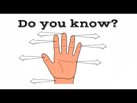 All Hand Parts Name in English with Pictures.