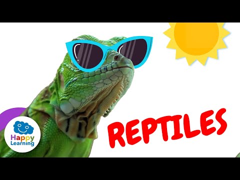 Cool facts about REPTILES | Happy Learning 🐉 🦎 🐍
