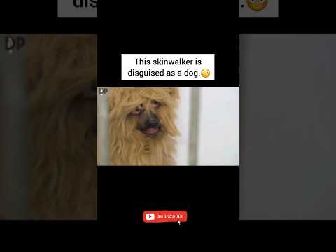 This skinwalker is disguised as a dog.π³ #shorts #justmillionviewsneeded