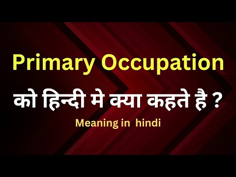 Primary occupation meaning in hindi || primary occupation ka matlab kya hota hai || word meaning