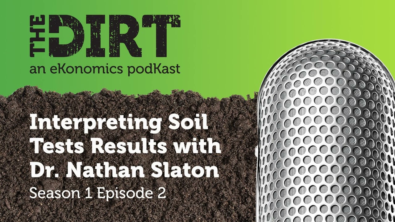Interpreting Soil Test Results with Dr. Nathan Slaton